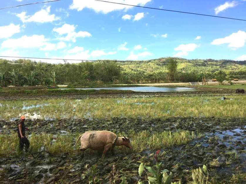 Feed the Hungry Visits Laylayan, Iloilo